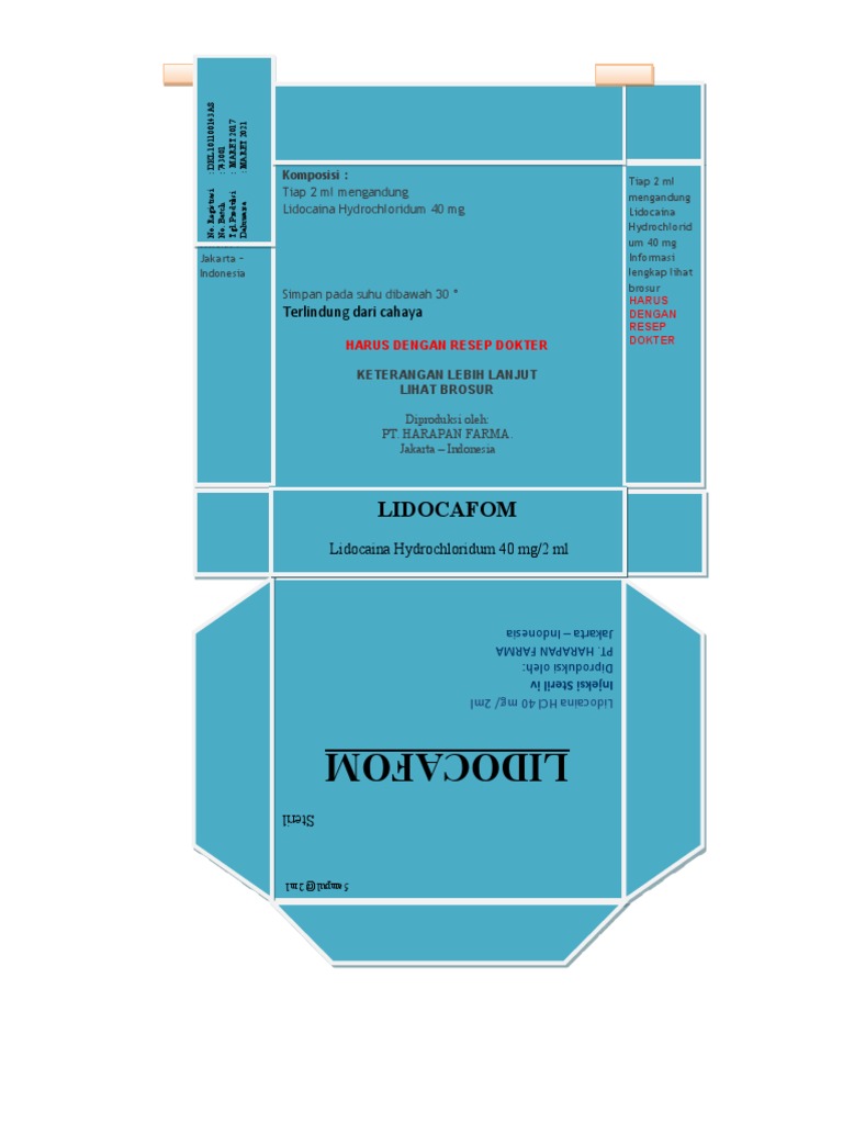 Kemasan Kotak Ampul | PDF