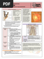 Post Concussion Test PCSS PDF | PDF | Concussion | Nervous System