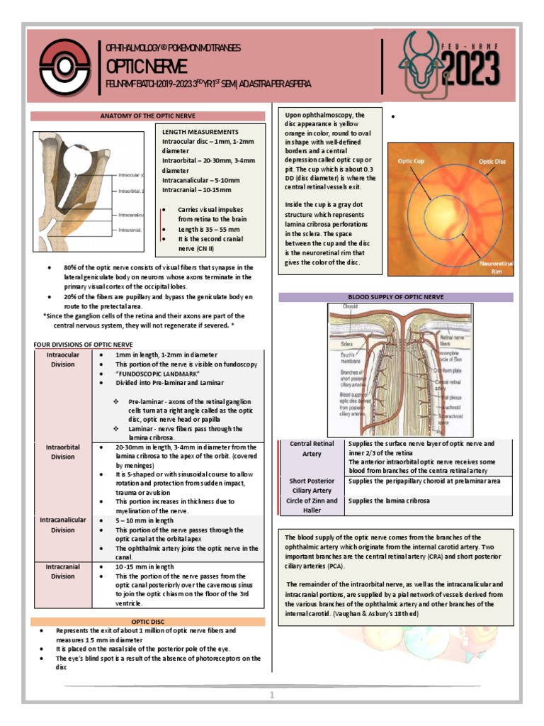 OPTHA 2.3 OPTIC NERVE - Dr. Fermin | PDF | Visual System | Retina