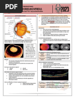 Ficha Técnica Optisol | PDF