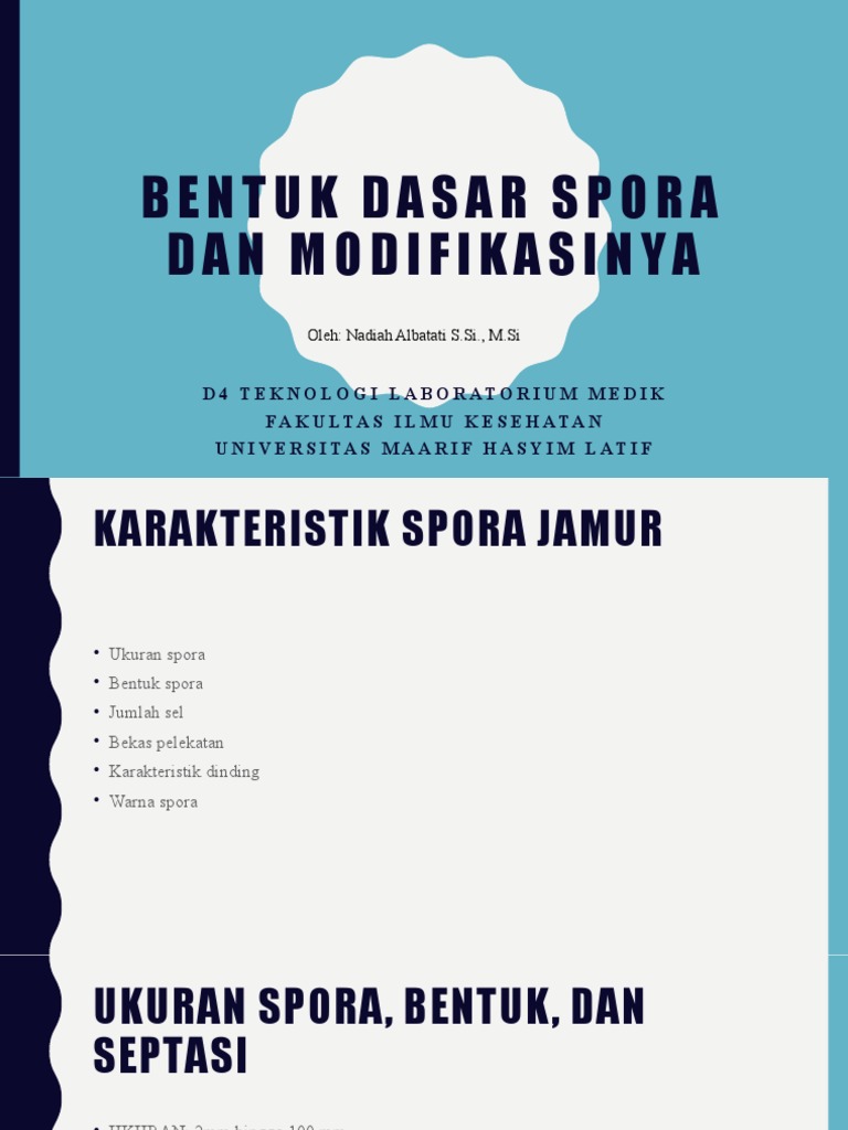 Bentuk Dasar Spora Dan Modifikasinya | PDF