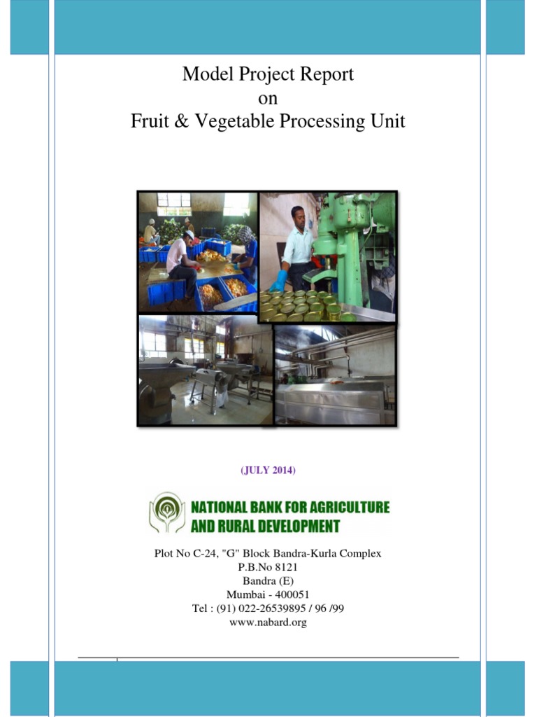 Model Project Report On Fruit and Vegeta | PDF | Fruit Preserves | Food ...