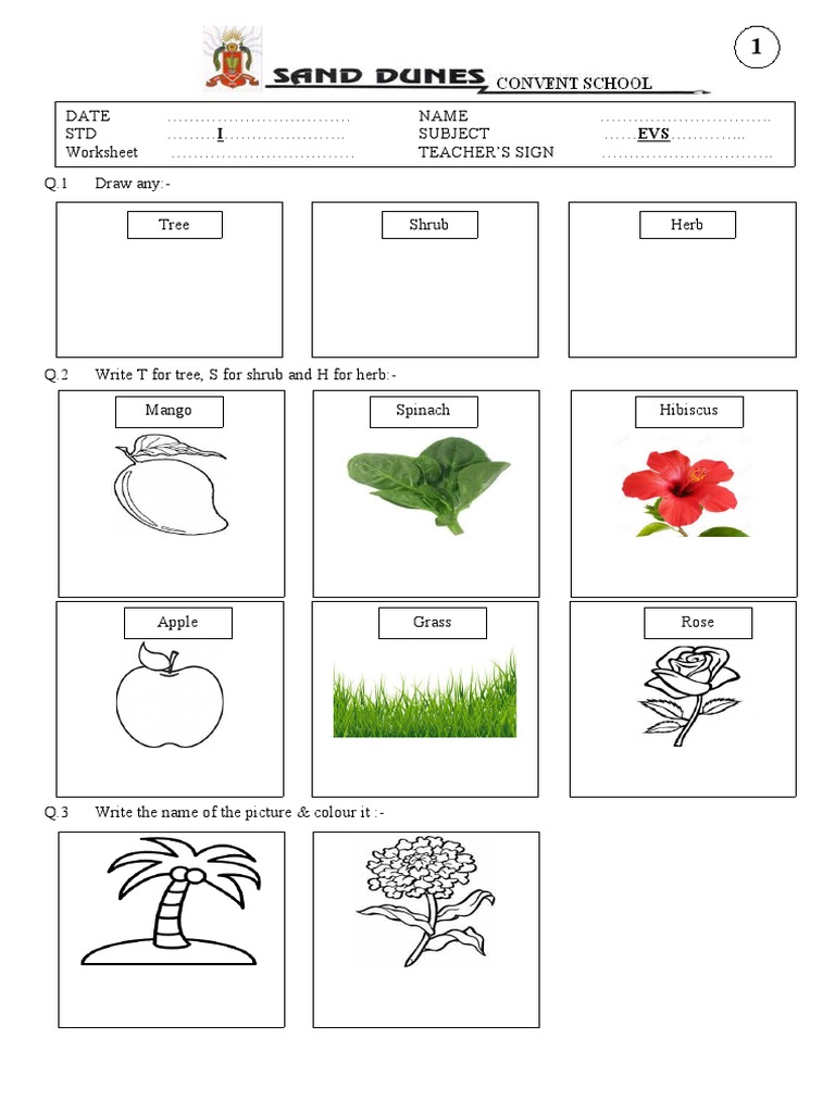 01 CH - 6 EVS Worksheet | PDF
