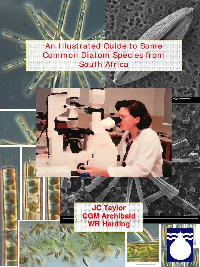 An Ilustrated Guide To Some Common Diatom Spedies From South Africa | PDF
