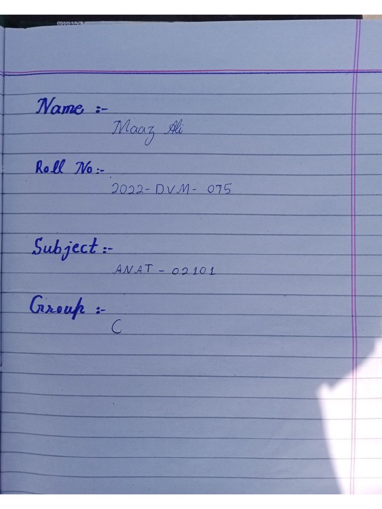 Anatomy Practical Notebook 1st Semester | PDF