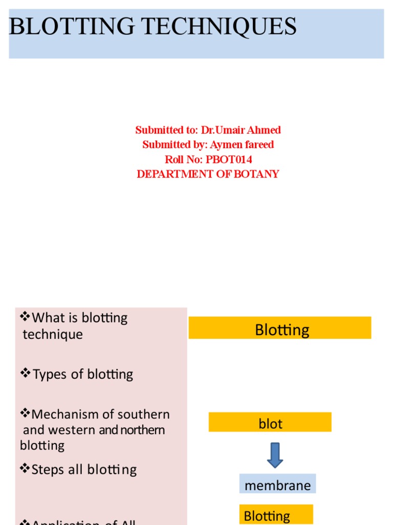 Blotting Technique | PDF | Blot (Biology) | Gel Electrophoresis