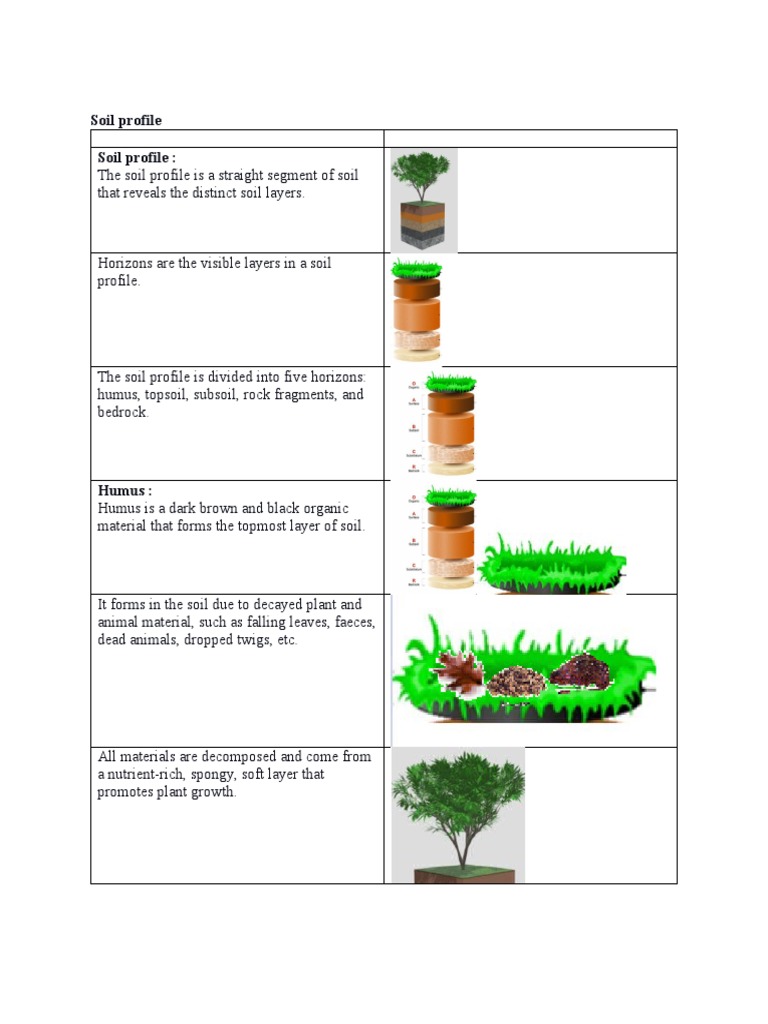 Soil Profile | PDF