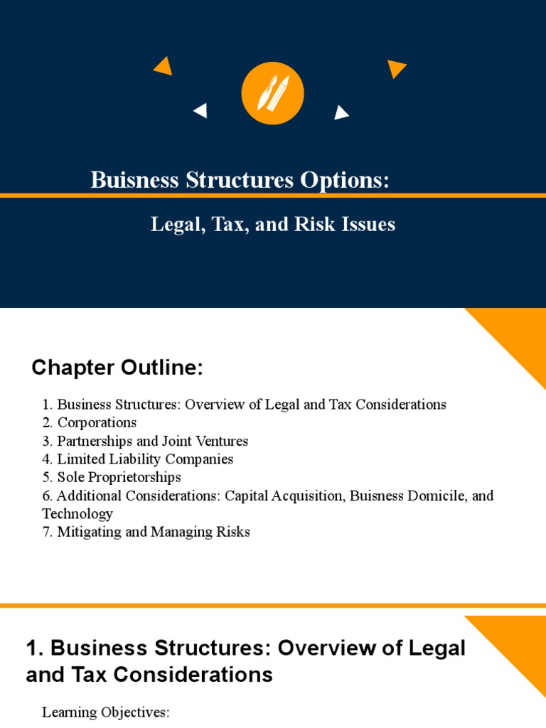 Business Structure | PDF | Limited Liability Company | Partnership