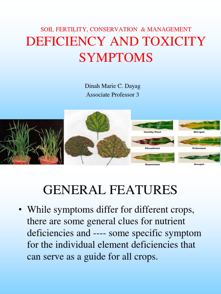 Deficiency and Toxicity Symptoms | PDF | Plant Nutrition | Leaf