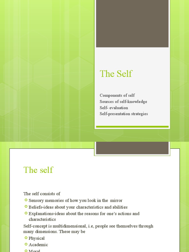 The Self | PDF | Self Concept | Reference