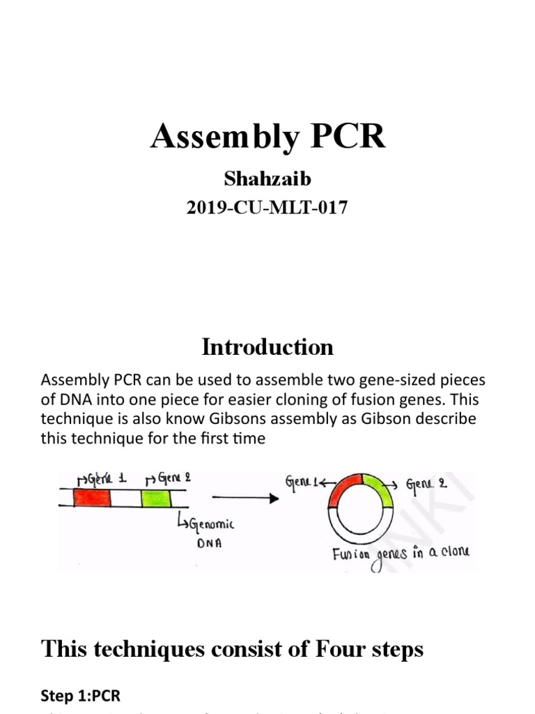 Assembly PCR: Steps & Features | PDF | Science & Mathematics | Computers