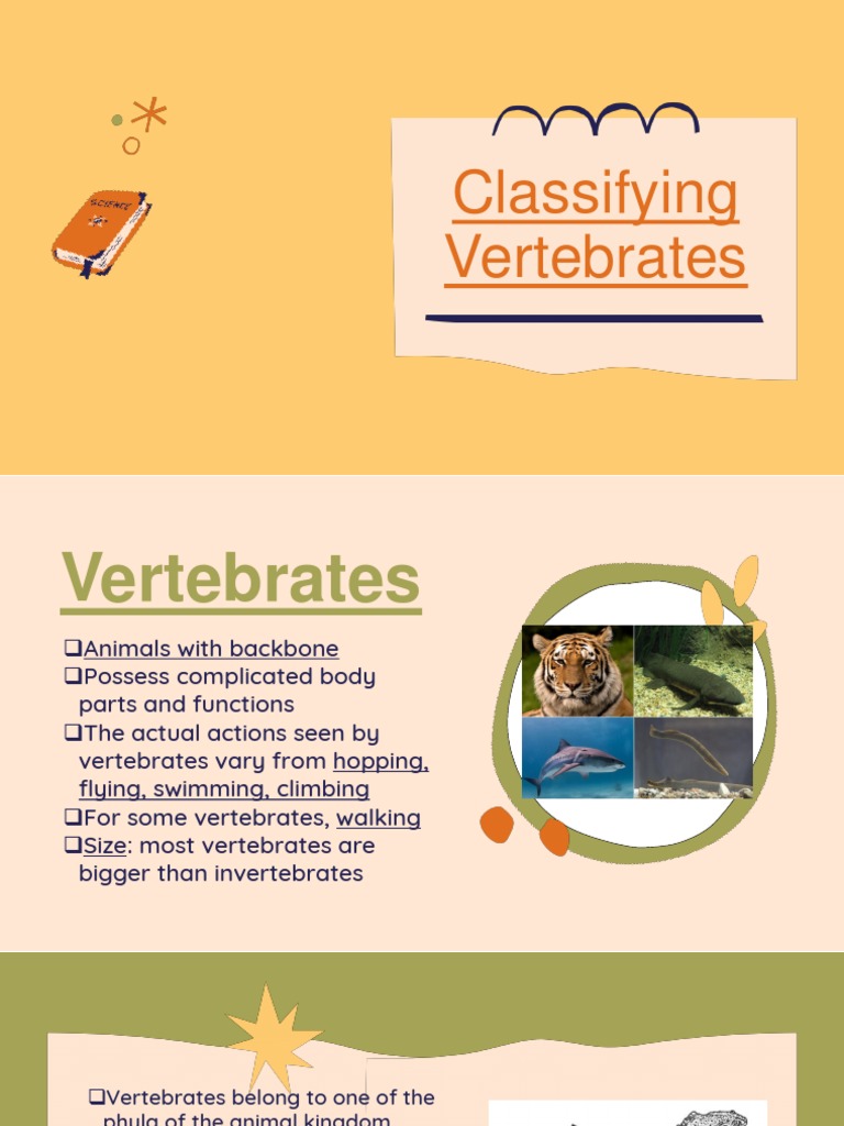 Classifying Vertebrates | PDF | Mammals | Amphibian