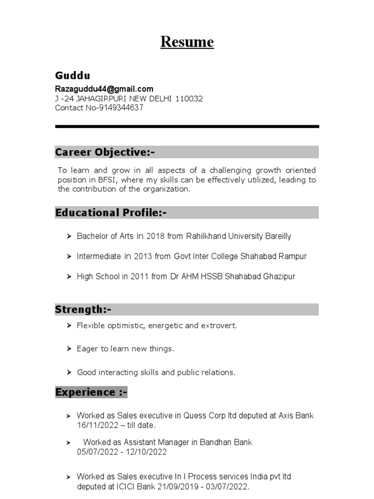 Resume of Guddu - BFSI Professional | PDF | Career & Growth | Business