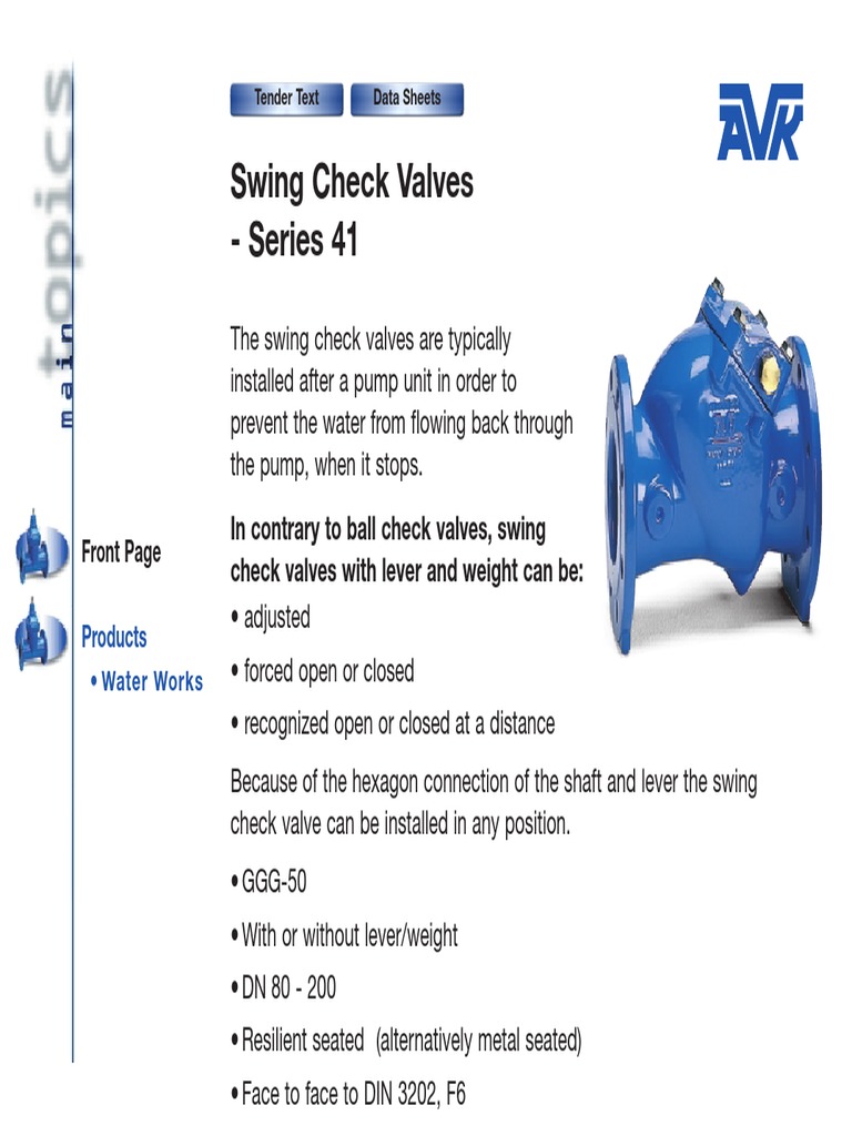 Swing Check Valve Specifications | PDF