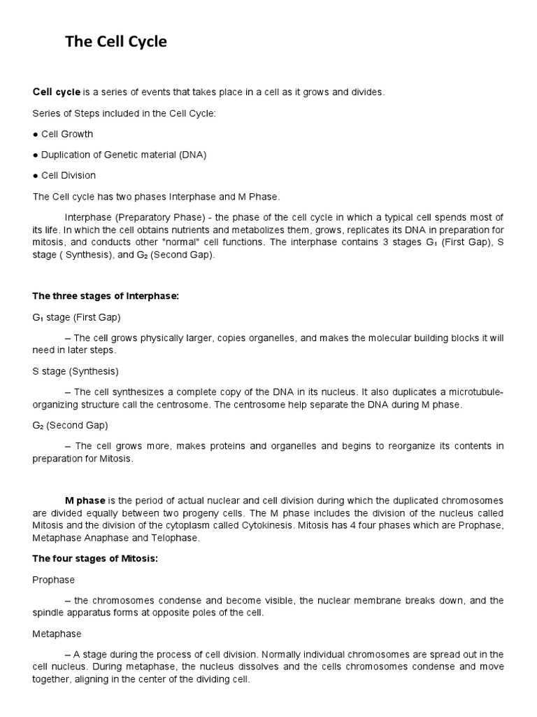 The Cell Cycle | PDF | Meiosis | Mitosis