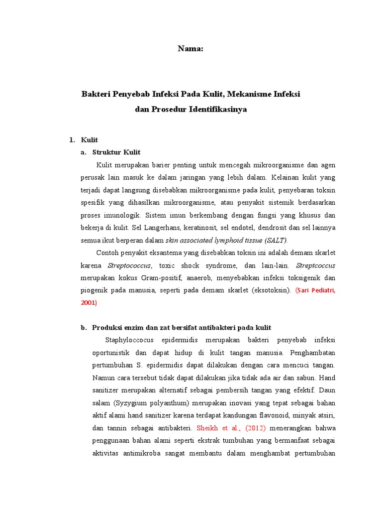Bakteri Penyebab Infeksi Pada Kulit | PDF | Sains & Matematika