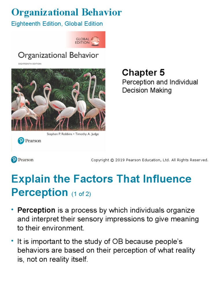 Ch. 3 Perception and Individual Decision Making | PDF | Decision Making ...