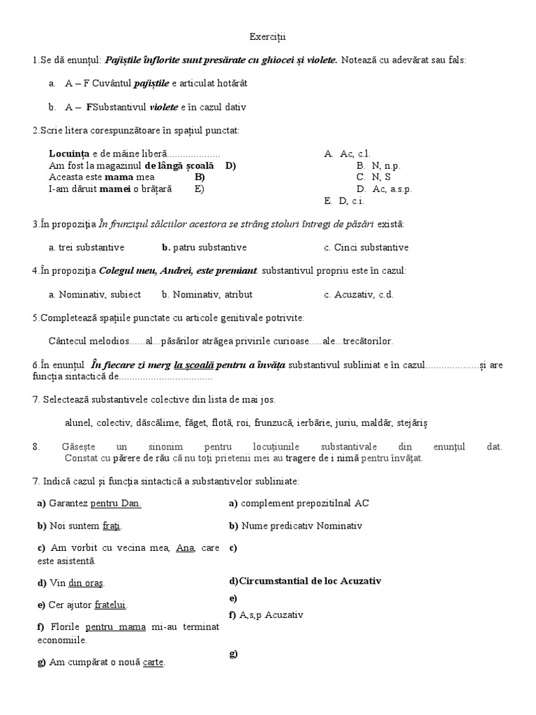 Substantivul - Exercitii Class | PDF