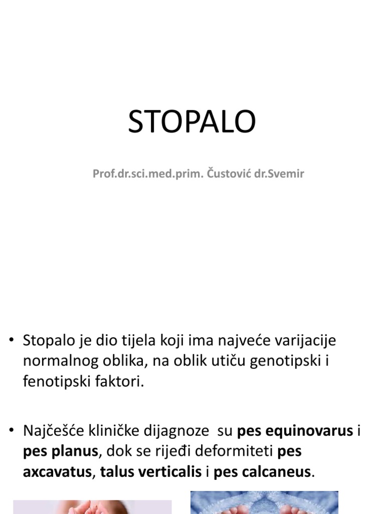 1.6 Stopalo | PDF