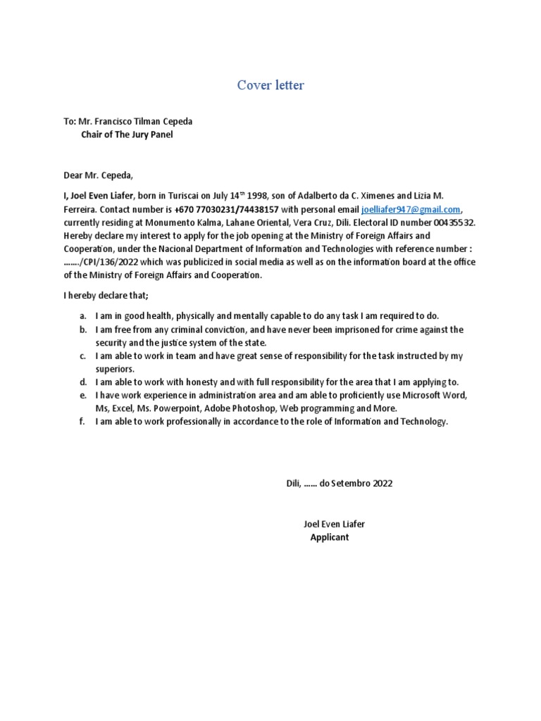 Job Application for IT Position | PDF