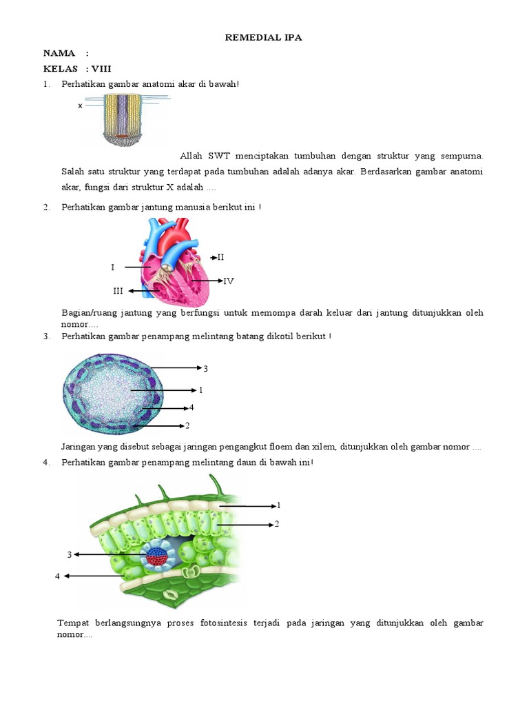 REMEDIAL IPA Kelas VIII | PDF