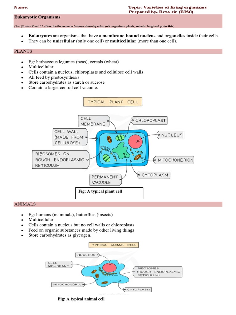 Chapter-2 (Varieties of Living Organism) | PDF | Cell (Biology) | Bacteria