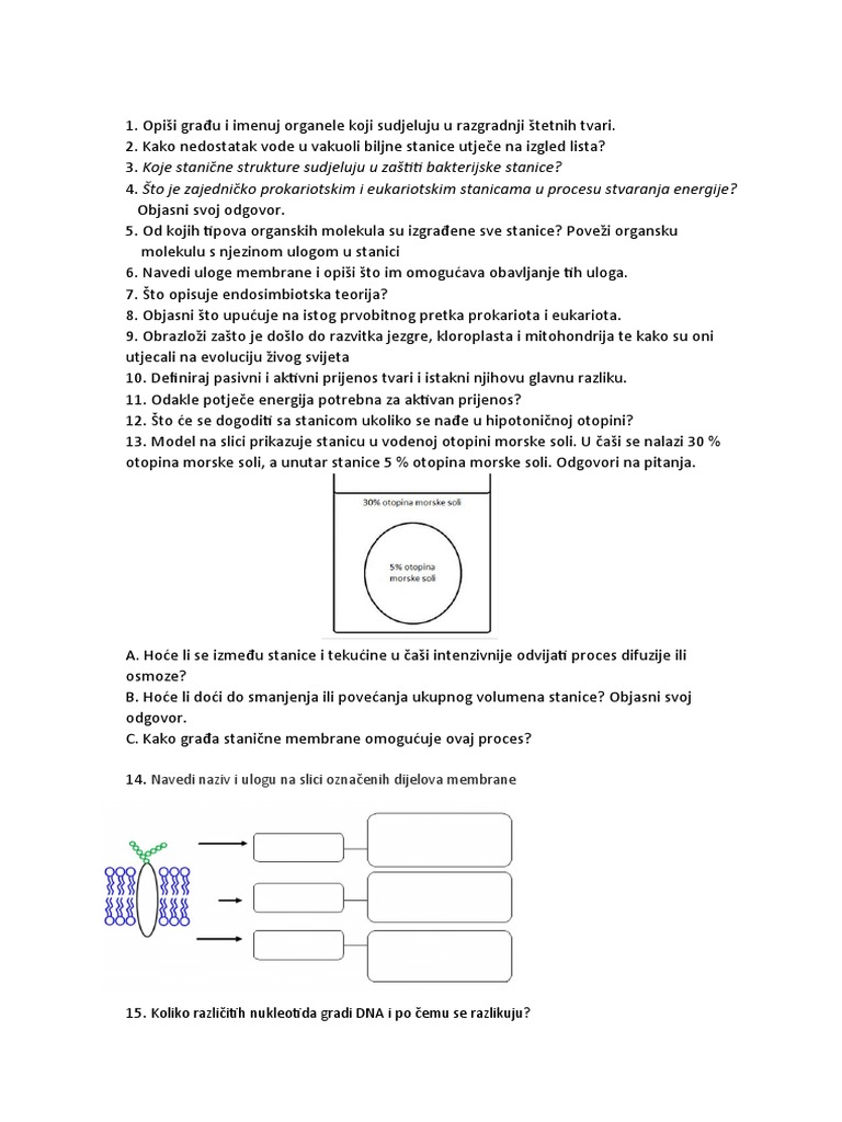Ponavljanje Za PPZ | PDF