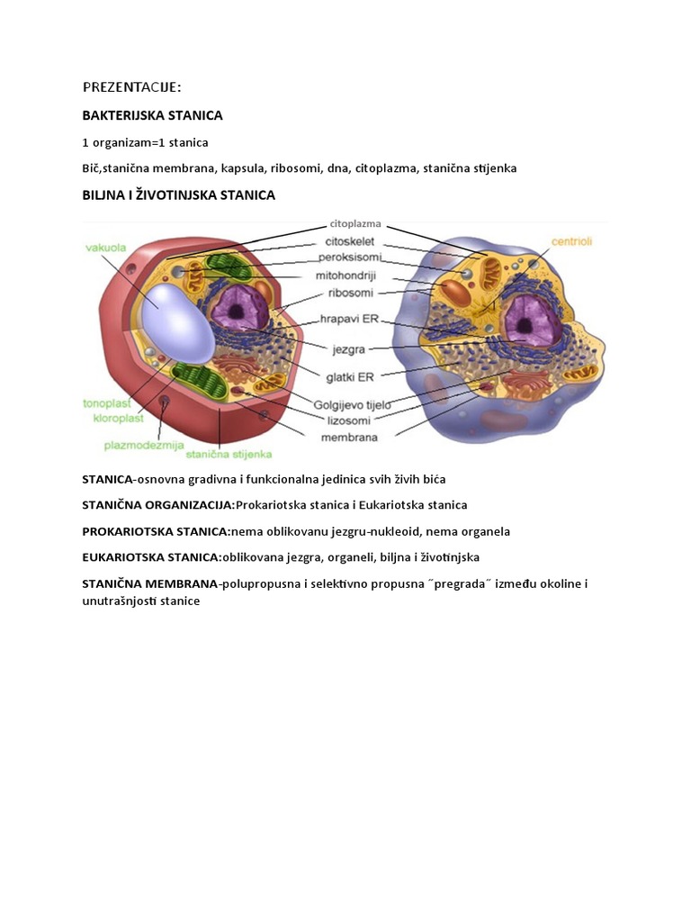 Prez Test | PDF