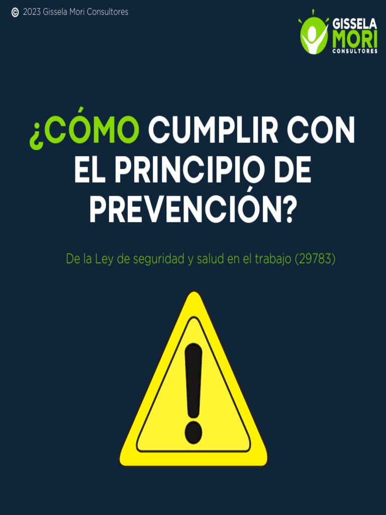Principio de prevención de SST-1 | PDF