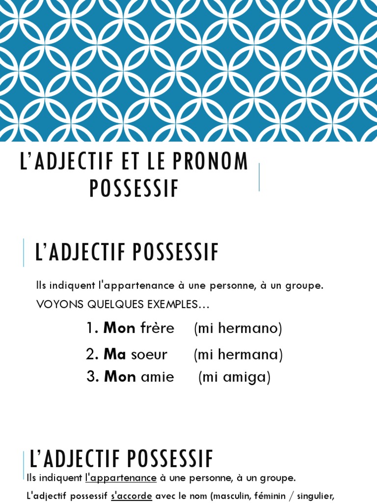L'adjectif Et Le Pronom Possessif | PDF | Philosophie