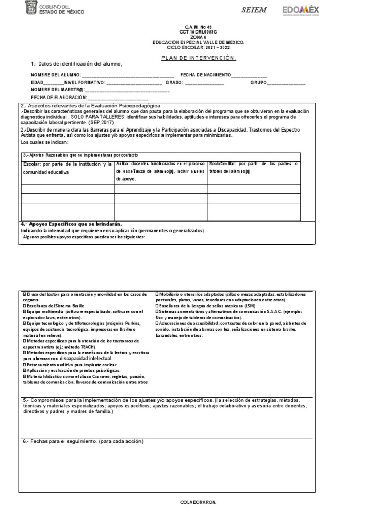 Plan DE INTERVENCIÓN INDIVIDUAL Y APOYOS | PDF | Educación especial ...