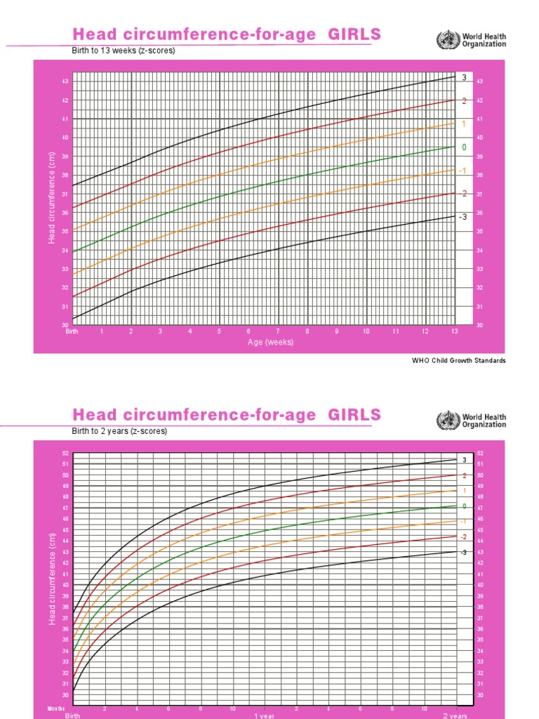 WHO Growth Standards: Head Circumference | PDF