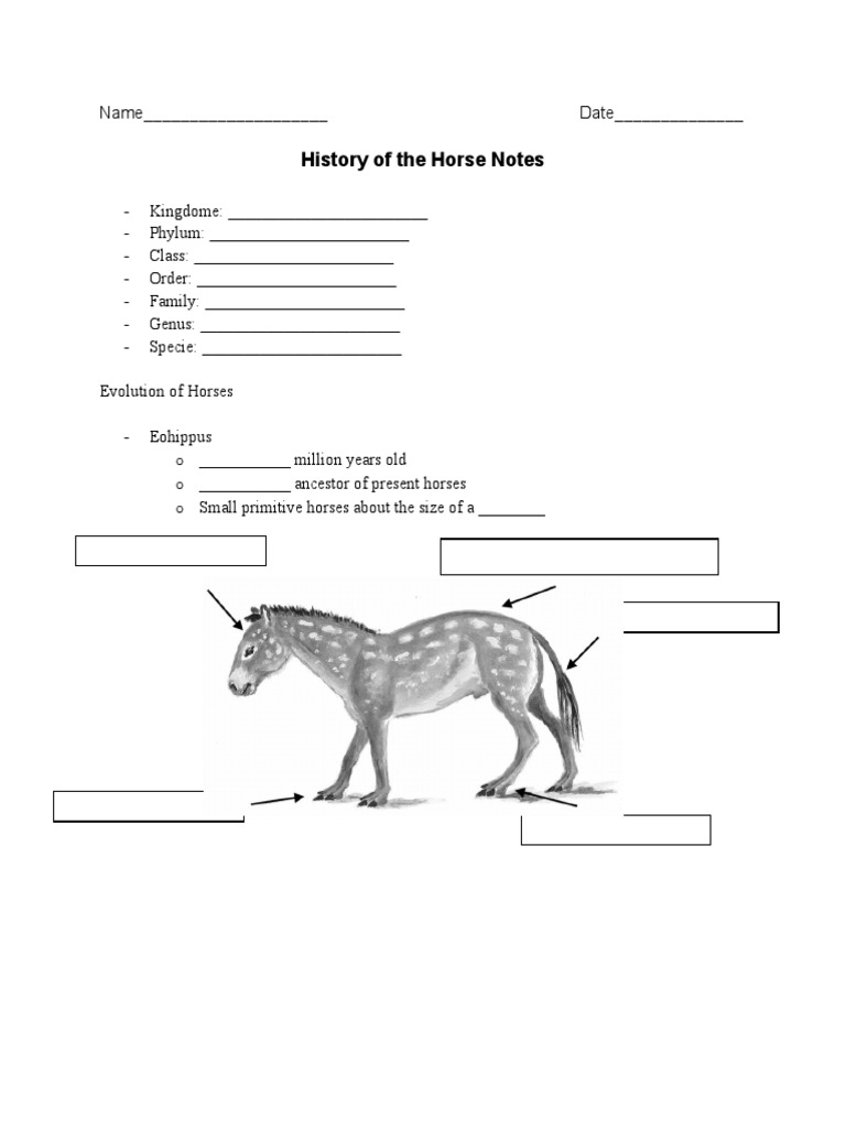 History of The Horse | PDF | Equus (Genus) | Horses