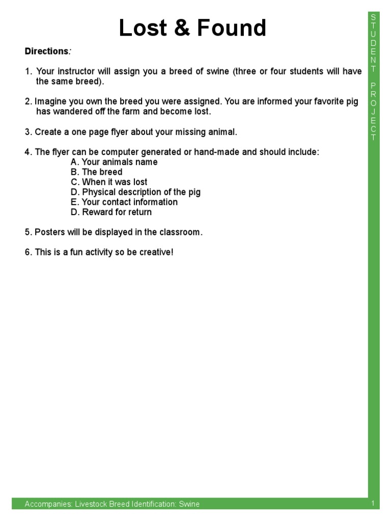 Project - Lost and Found | PDF