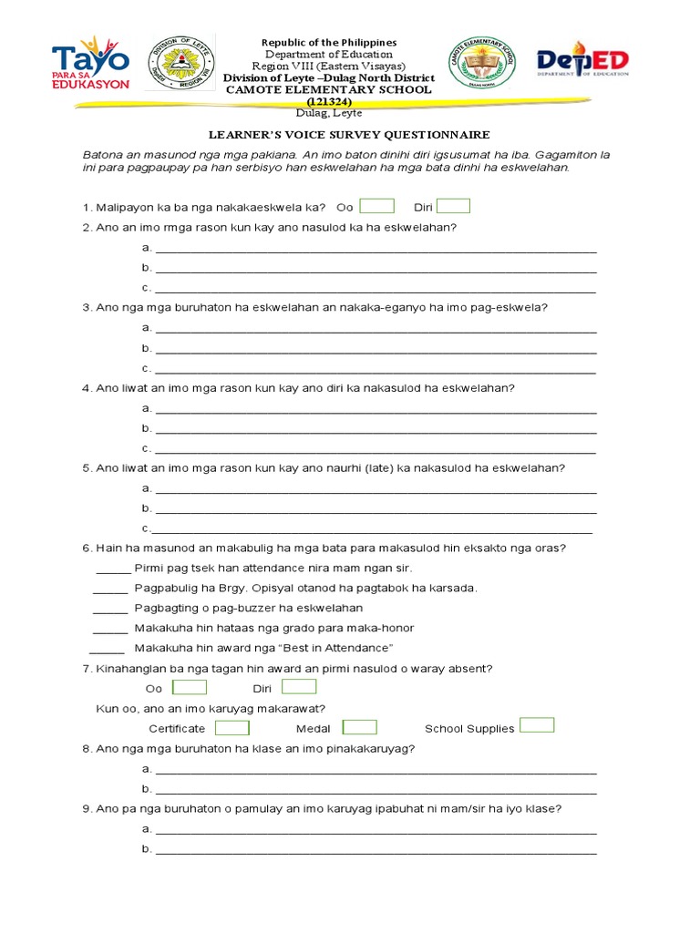 Learners Voice Survey | PDF