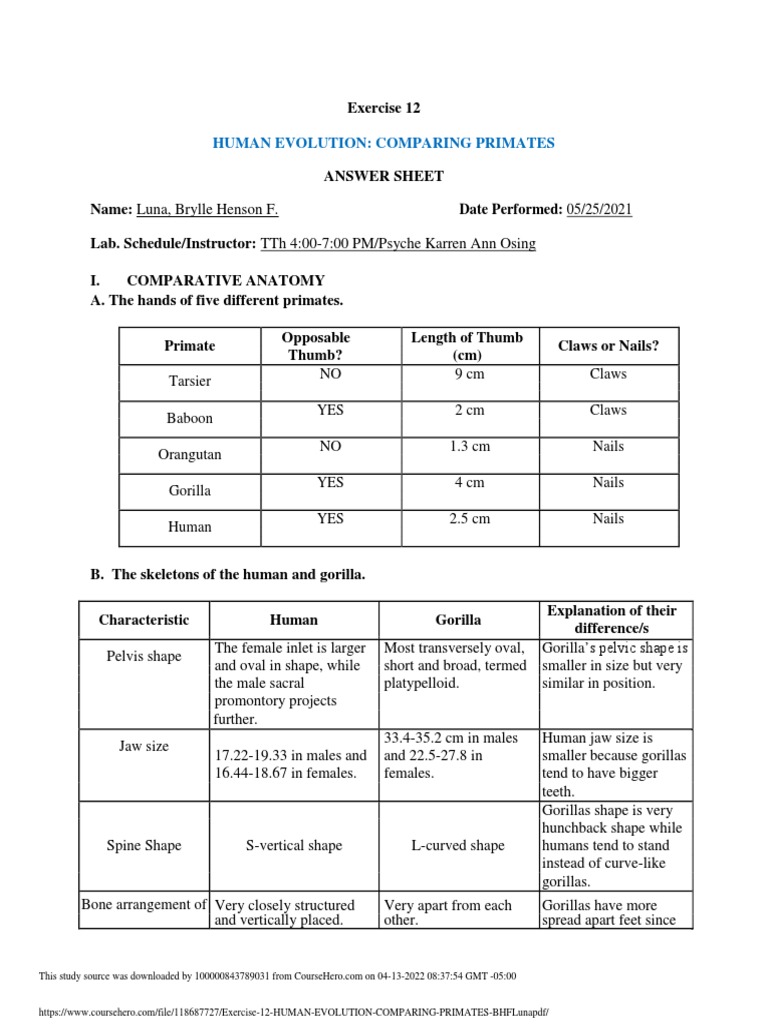 Exercise 12 HUMAN EVOLUTION COMPARING PRIMATES BHFLuna PDF | PDF ...