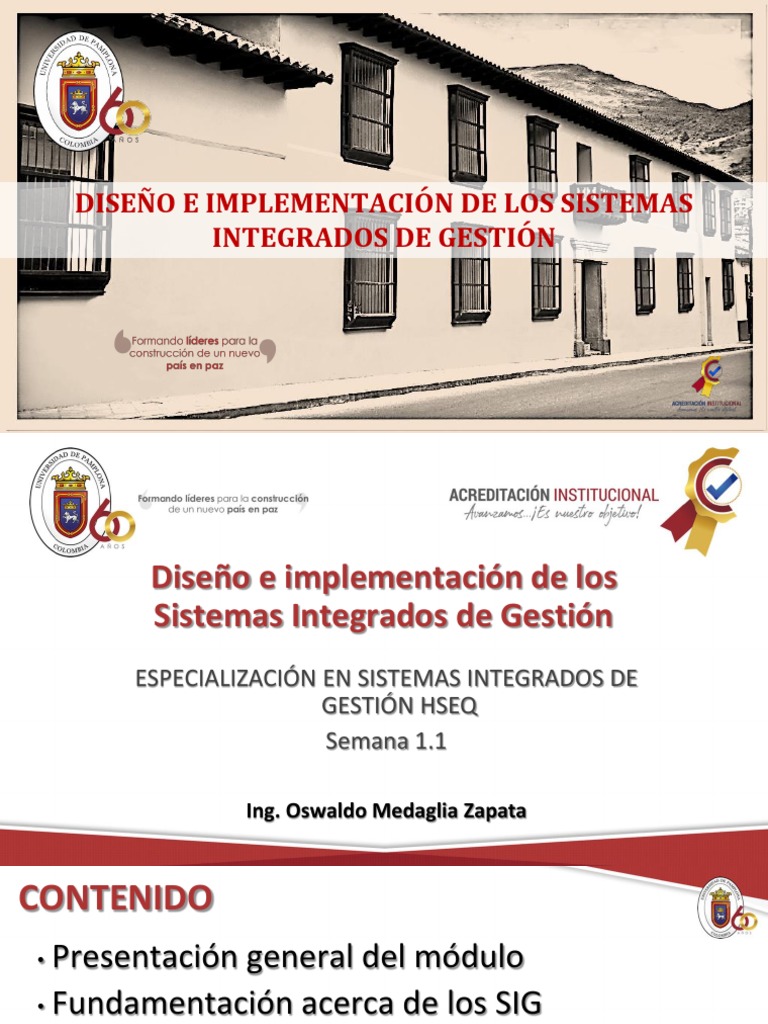 Diseño e implementación de un sistema integrado de gestión HSEQ en una organización | PDF ...