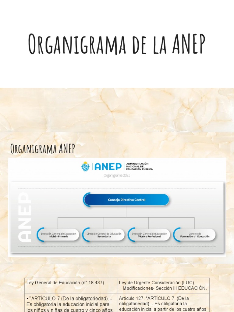 Organigrama de La ANEP | PDF | Educación más alta | Enseñando