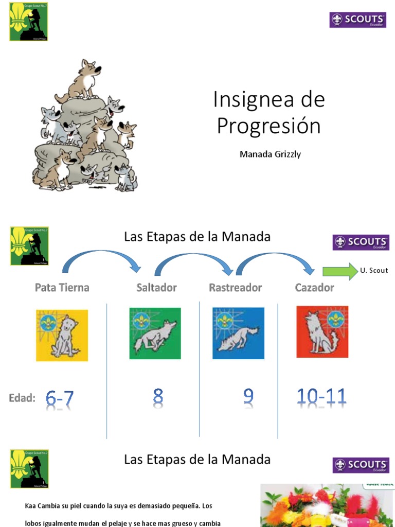 Progresión en La Manada | PDF