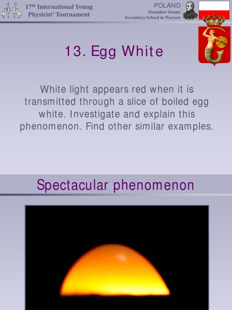 Light Scattering in Egg White | PDF