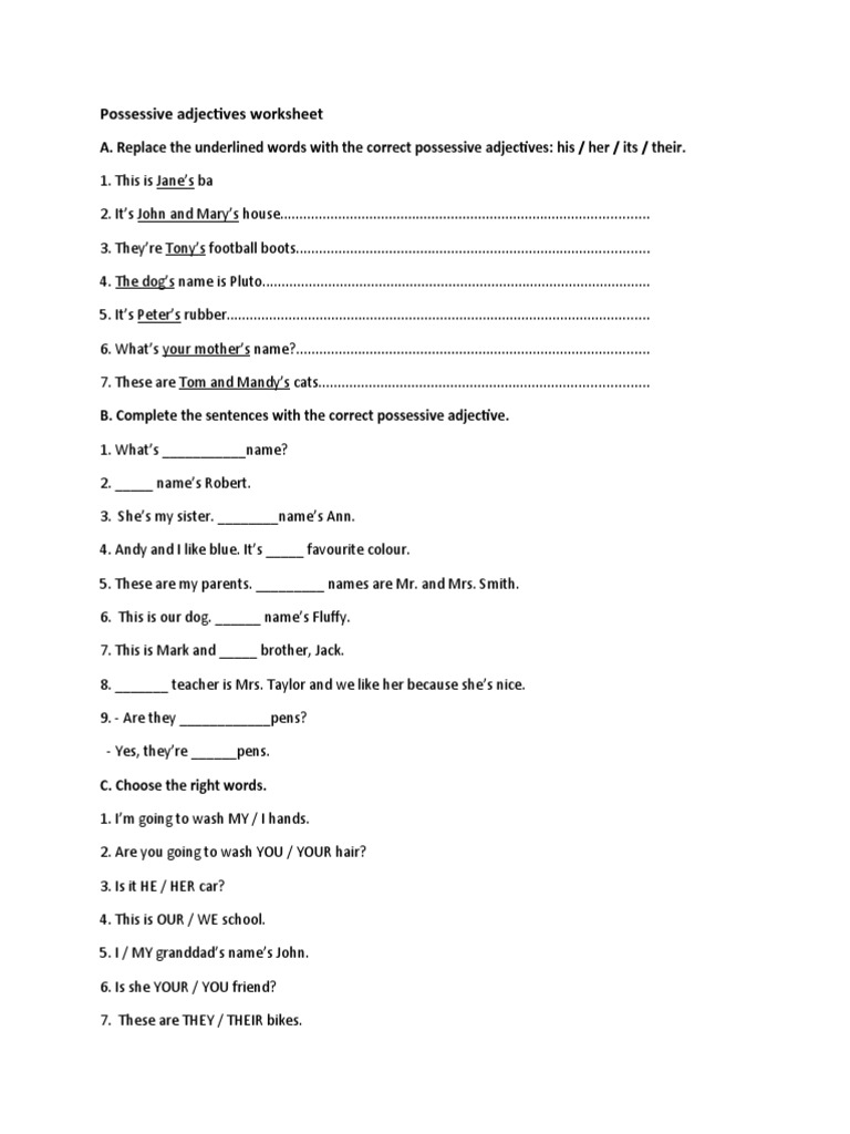 Possessive Adjectives Practice | PDF