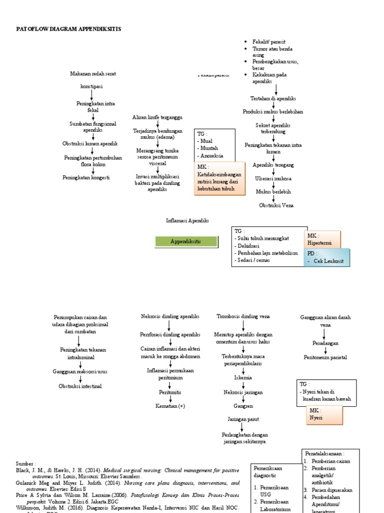 Patoflow Diagram Ok | PDF