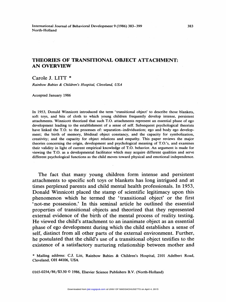 Understanding Transitional Object Theory | PDF | Self-Improvement ...
