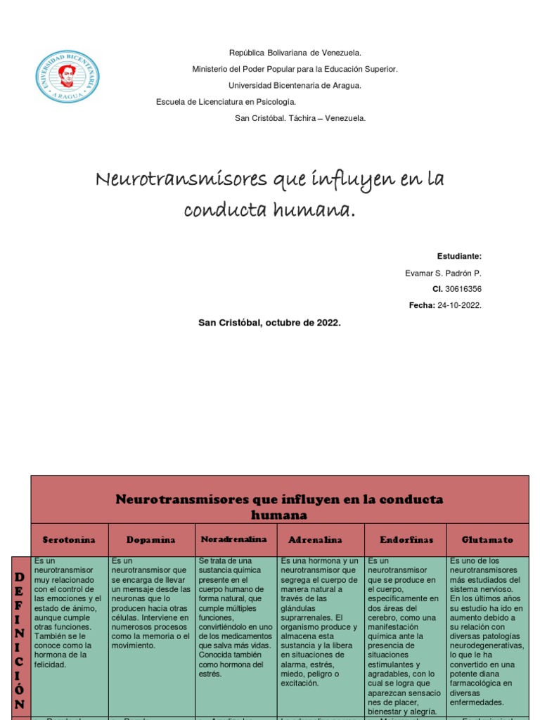 Neurociencias II. Cuadro Comparativo. | PDF | Neurona | Sinapsis