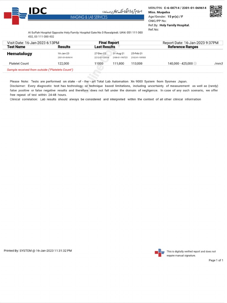 Patient Report PDF | PDF