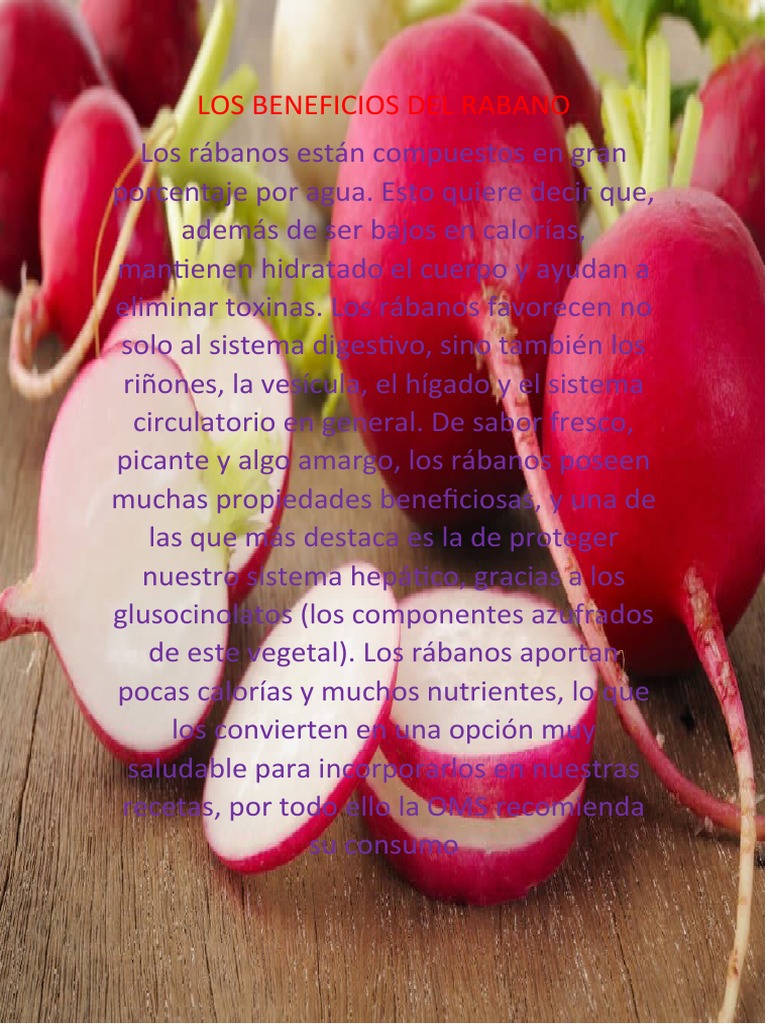 Los Beneficios Del Rabano | PDF