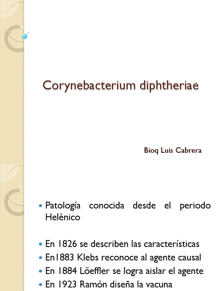 Corynebacterium Diphtheriae | PDF | Enfermedades y trastornos | Biología