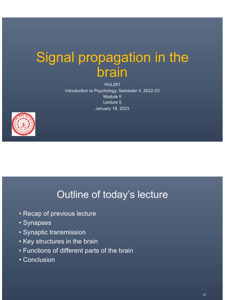 Lecture 5 | Download Free PDF | Chemical Synapse | Neurotransmitter Lecture 5 | Download Free PDF | Chemical Synapse | Neurotransmitter