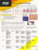 Teoria de Los Biotipos de William Sheldon | PDF | Comportamiento ...