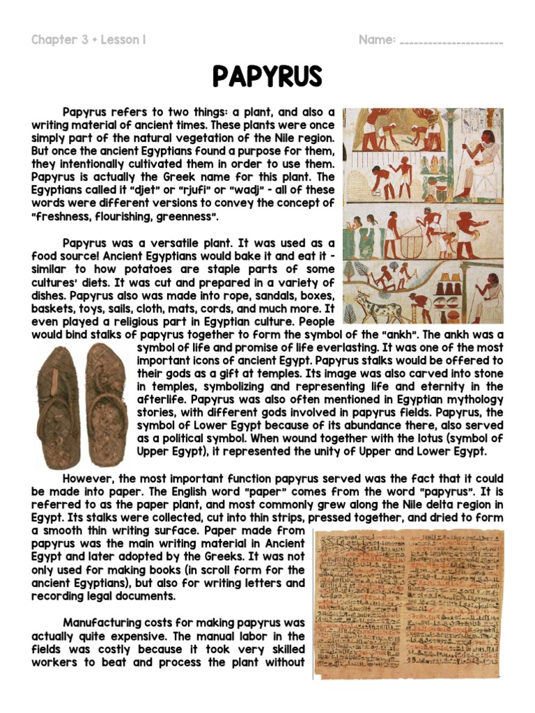 HW - Papyrus | PDF | Papyrus | Ancient Egypt